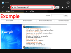 Displaying a Web Page